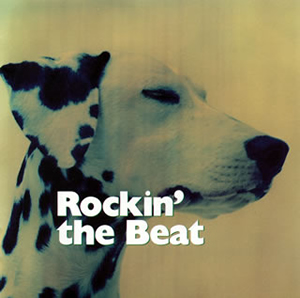 マーク・ファイスト&ヒズ・プロジェクト / Rockin' the Beat [廃盤] - CDJournal