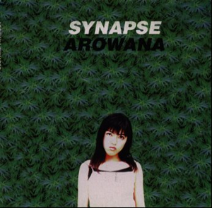 SYNAPSE / AROWANA - CDJournal
