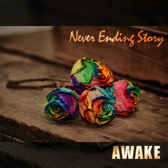 AWAKE / Never Ending Story [CD+DVD] [限定] - CDJournal