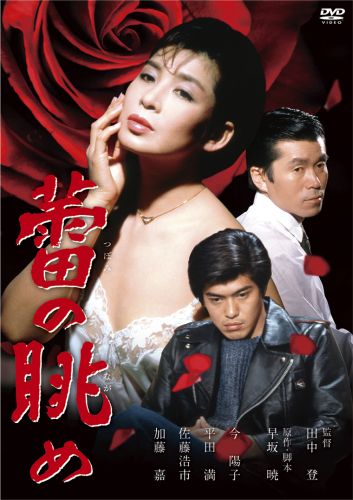 蕾の眺め HDリマスター版 [DVD] - CDJournal