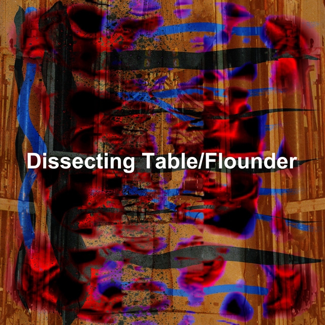 辻一郎のソロ・ユニット“Dissecting Table”、『Flounder』リリース - CDJournal ニュース