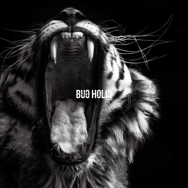 Bug Holic、2ndアルバム発売決定 先行配信第2弾「TOXIC WONDER GIRL」リリース - CDJournal ニュース